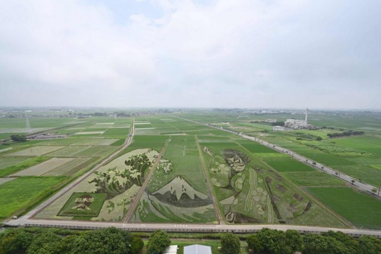 Gyoda City Official Travel Guide