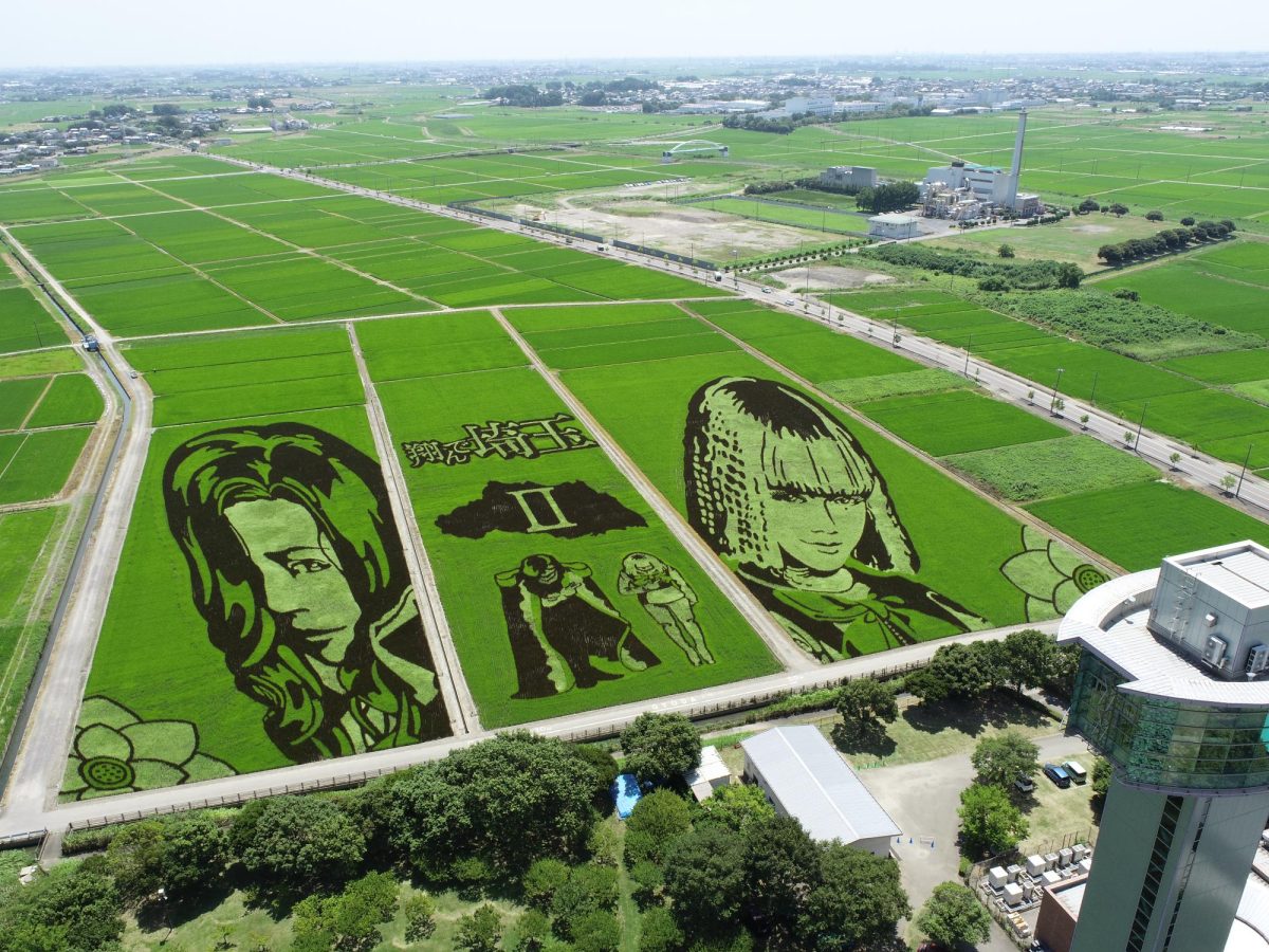 World’s Largest Rice Paddy Art | Gyoda City Official Travel Guide