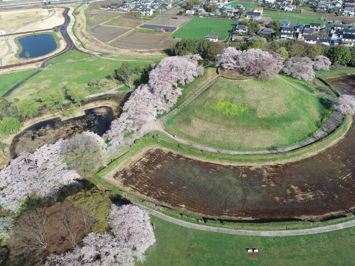 Gyoda City Official Travel Guide